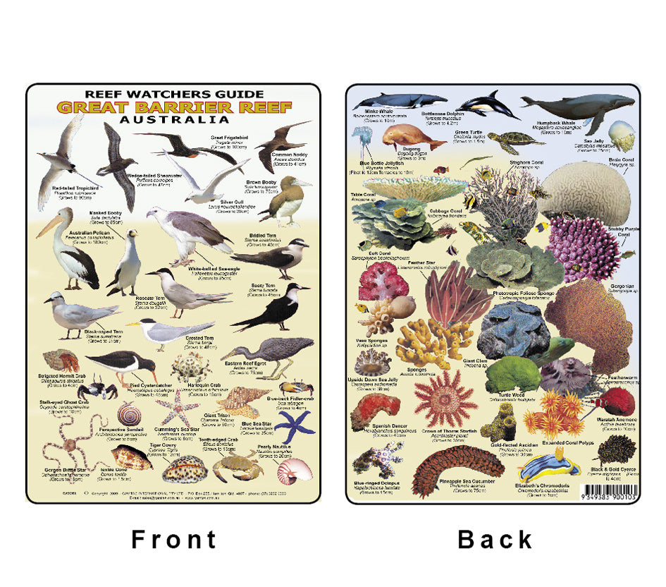 Fish Identification Card - Great Barrier Reef, Reef Watchers Guide (63 ...