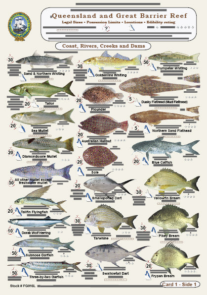 Fishers Fish Identification Cards - Qld. & Great Barrier Reef Fisherma ...
