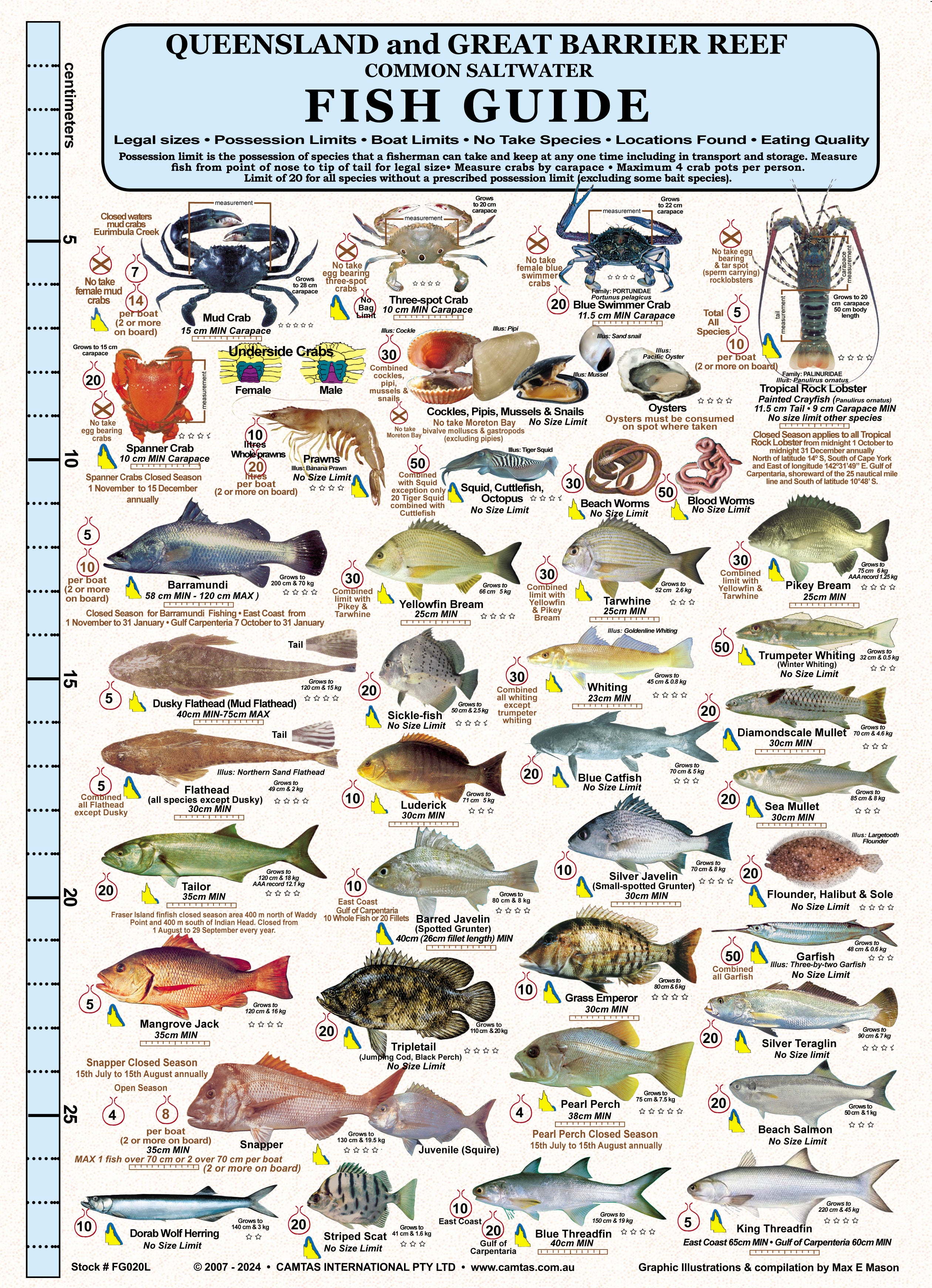 Fishers Fish Identification Card (Slate) - Qld & Great Barrier Reef ...