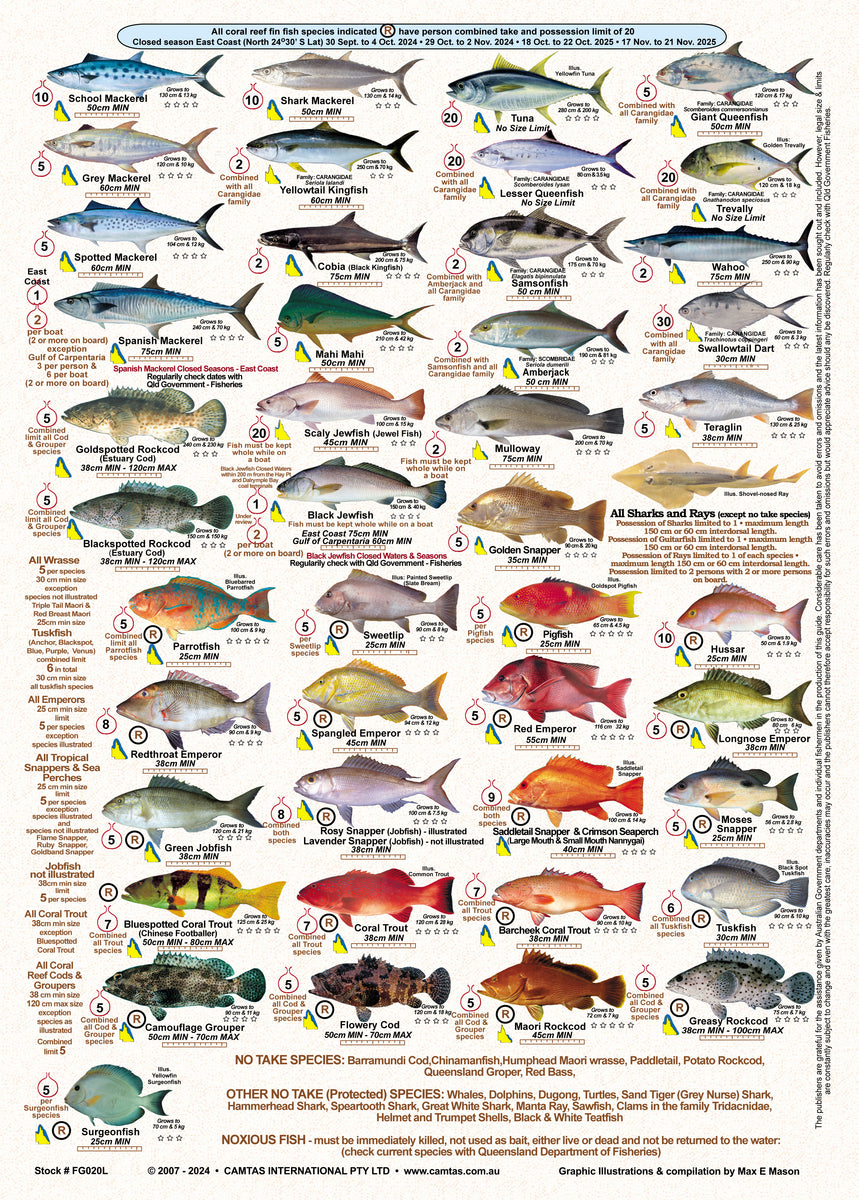 Fishers Fish Identification Card (Slate) - Qld & Great Barrier Reef ...