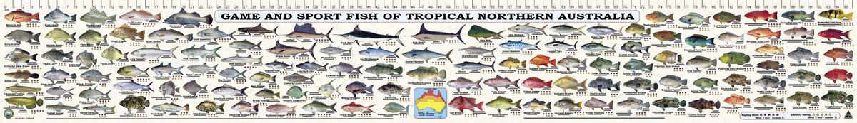 Fish Measure Decal-sticker - GAME & SPORT FISH TROPICAL NORTHERN AUSTR ...