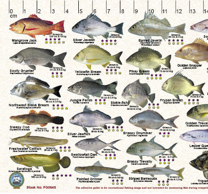 Fish Measure Decal-sticker - GAME & SPORT FISH TROPICAL NORTHERN AUSTR ...