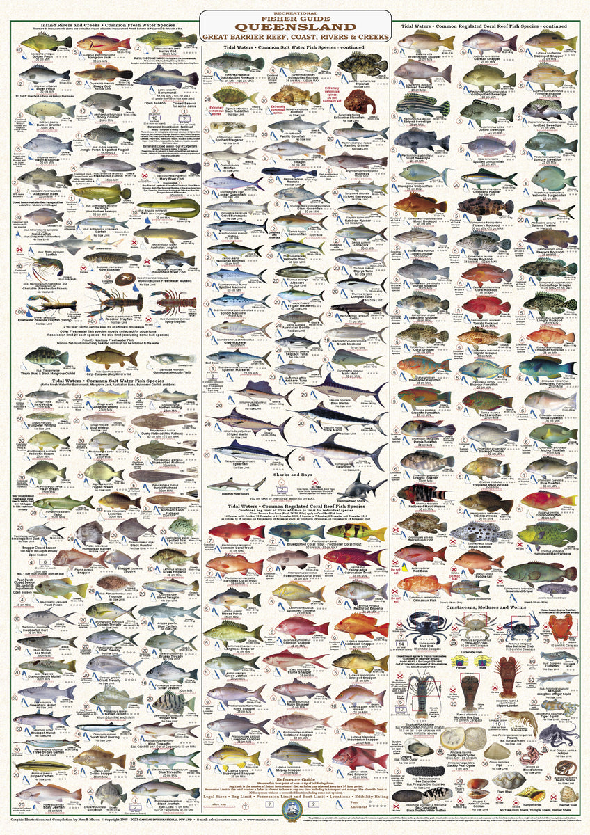 Fish Identification - Qld. and Great Barrier Reef, Fishers Guide - Wal ...