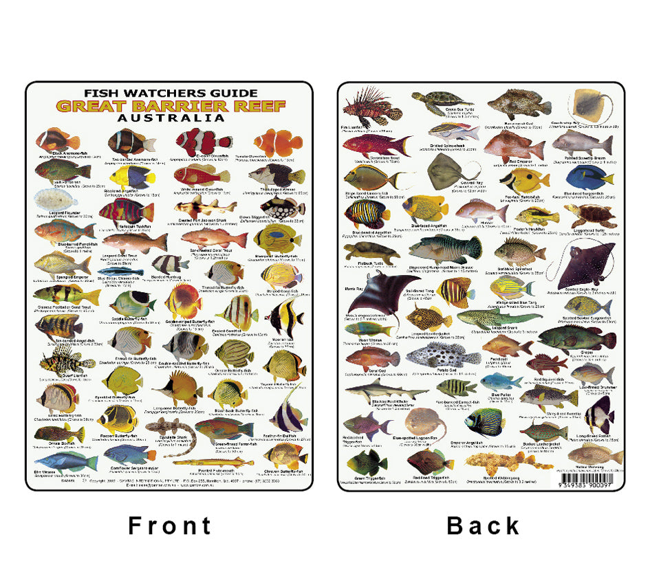 Fish Identification Card - Great Barrier Reef, Fishwatchers Guide (92 ...