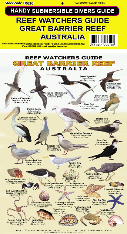Fish Identification Card - Great Barrier Reef, Reef Watchers Guide (63 ...