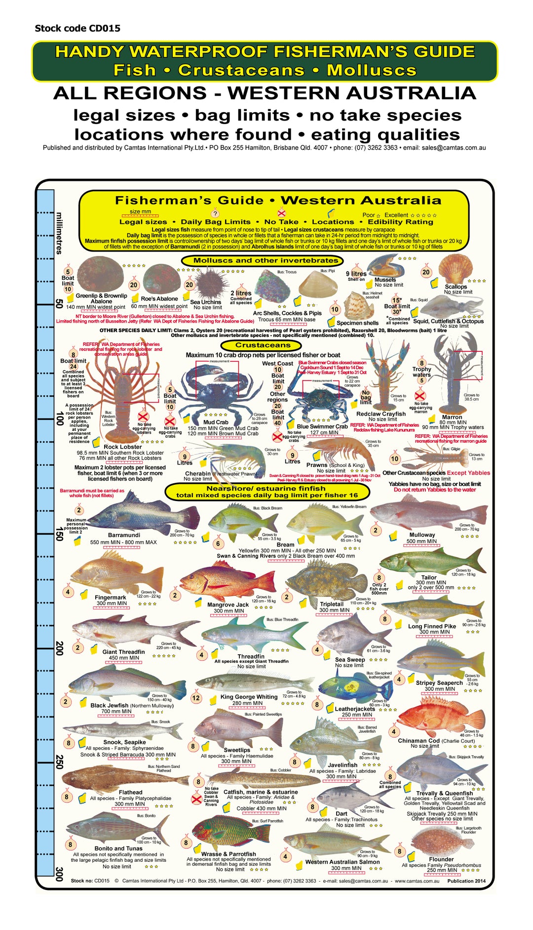 Fishermans Fish Identification Card (Slate) - Western Australia / FG01 ...