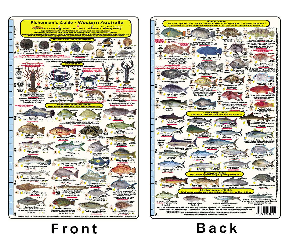 Fishermans Fish Identification Card - Western Australia / FG015L ...