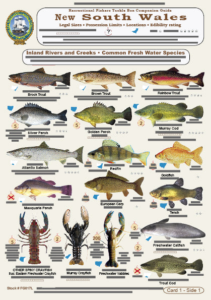 Fishers Fish Identification Cards - NSW Fisherman's Tackle Box Compani ...