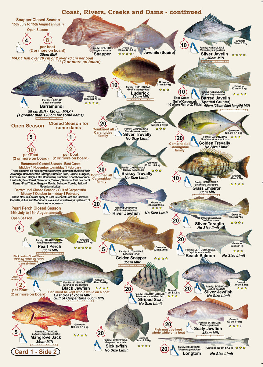 Fishermans Fish Identification Cards (Slates) - Qld. & Great Barrier R ...