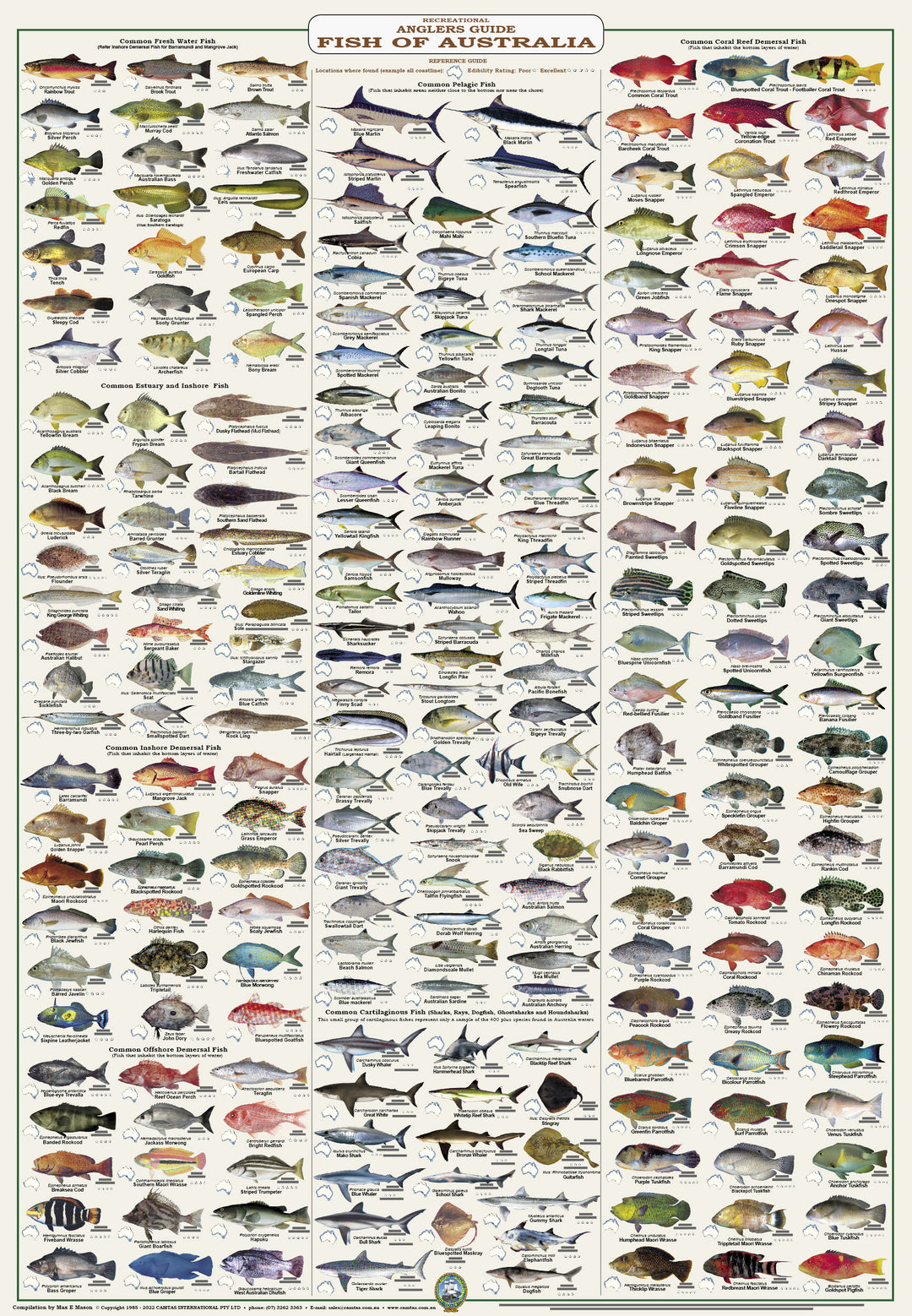 FISH & MARINE LIFE IDENTIFICATION WALL CHARTS, FIELD GUIDES & DECAL/ST ...