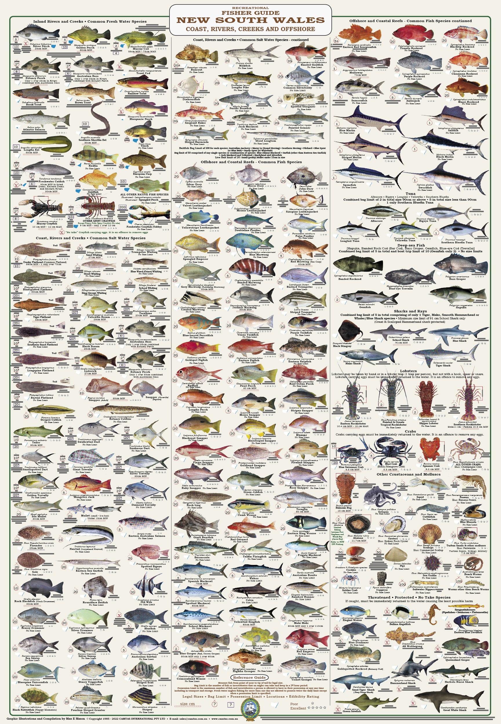Fish Identification New South Wales Fishers Guide Wall Chart 222 Fish Identification New South Wales Fishers Guide Wall Chart 222