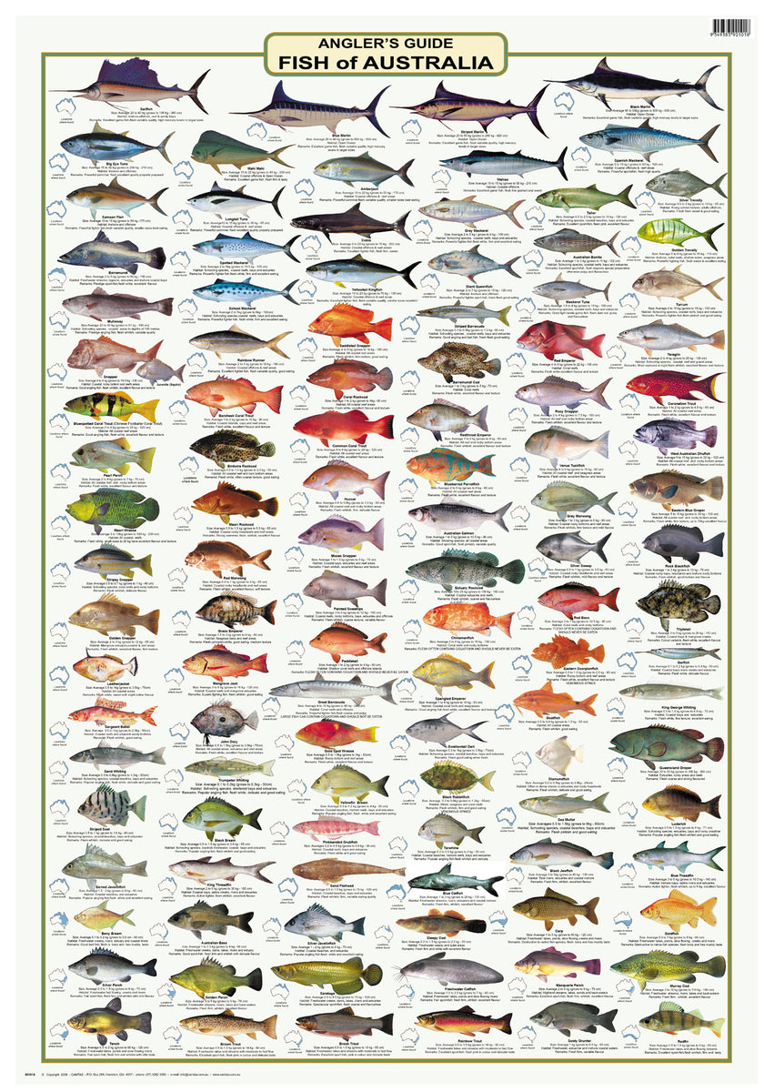 QLD Boating, Fishing, Camtas Marine Safety Chart - HINCHINBROOK CHANNE ...
