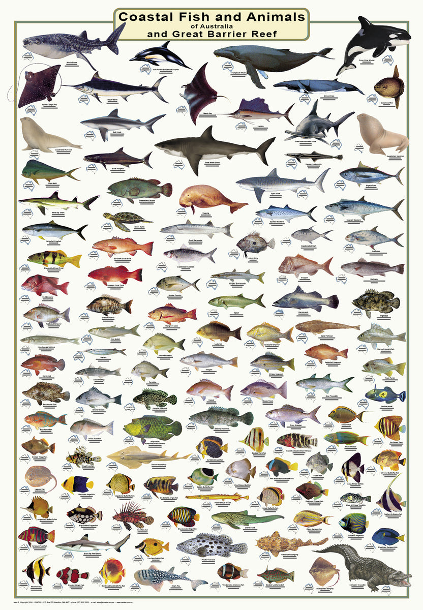 QLD Boating, Fishing, Camtas Marine Safety Chart - FRASER ISLAND and O ...